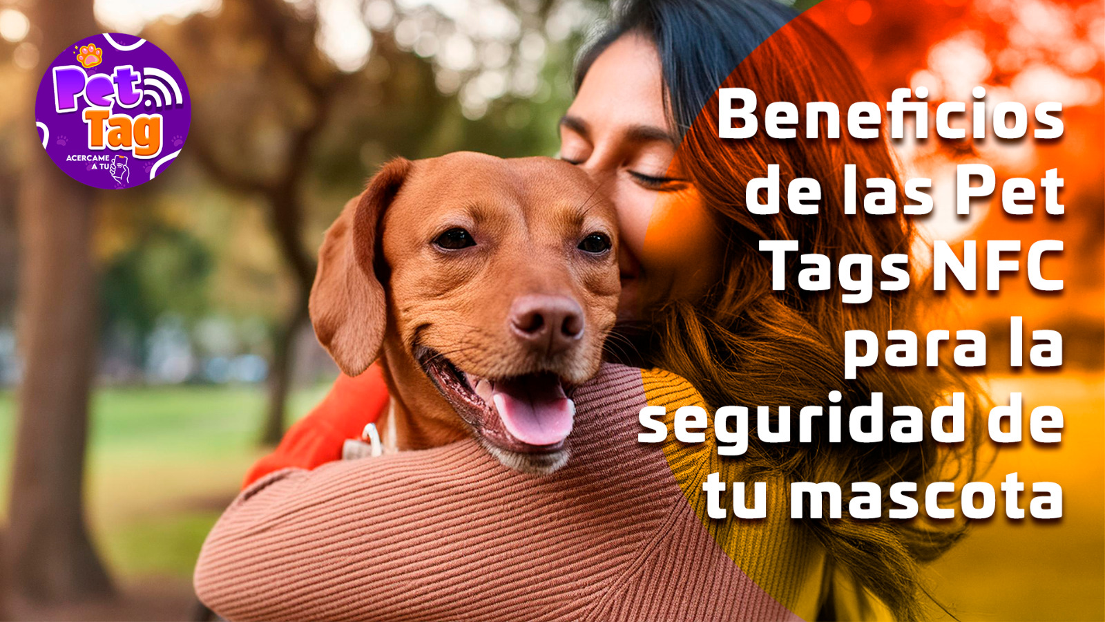 Beneficios de las Pet Tags NFC para la seguridad de tu mascota | Pet Tag